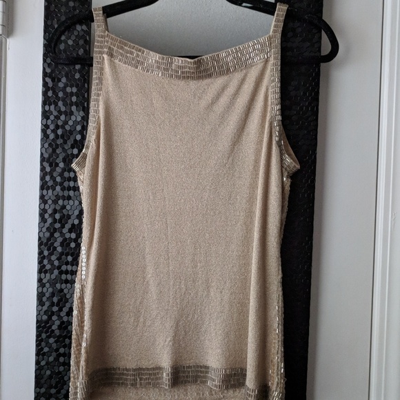 Ann Taylor | Tops | Champaign Colored Sequin Tank Top | Poshmark